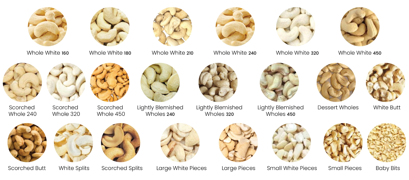 Cashew Nuts – Beroia International